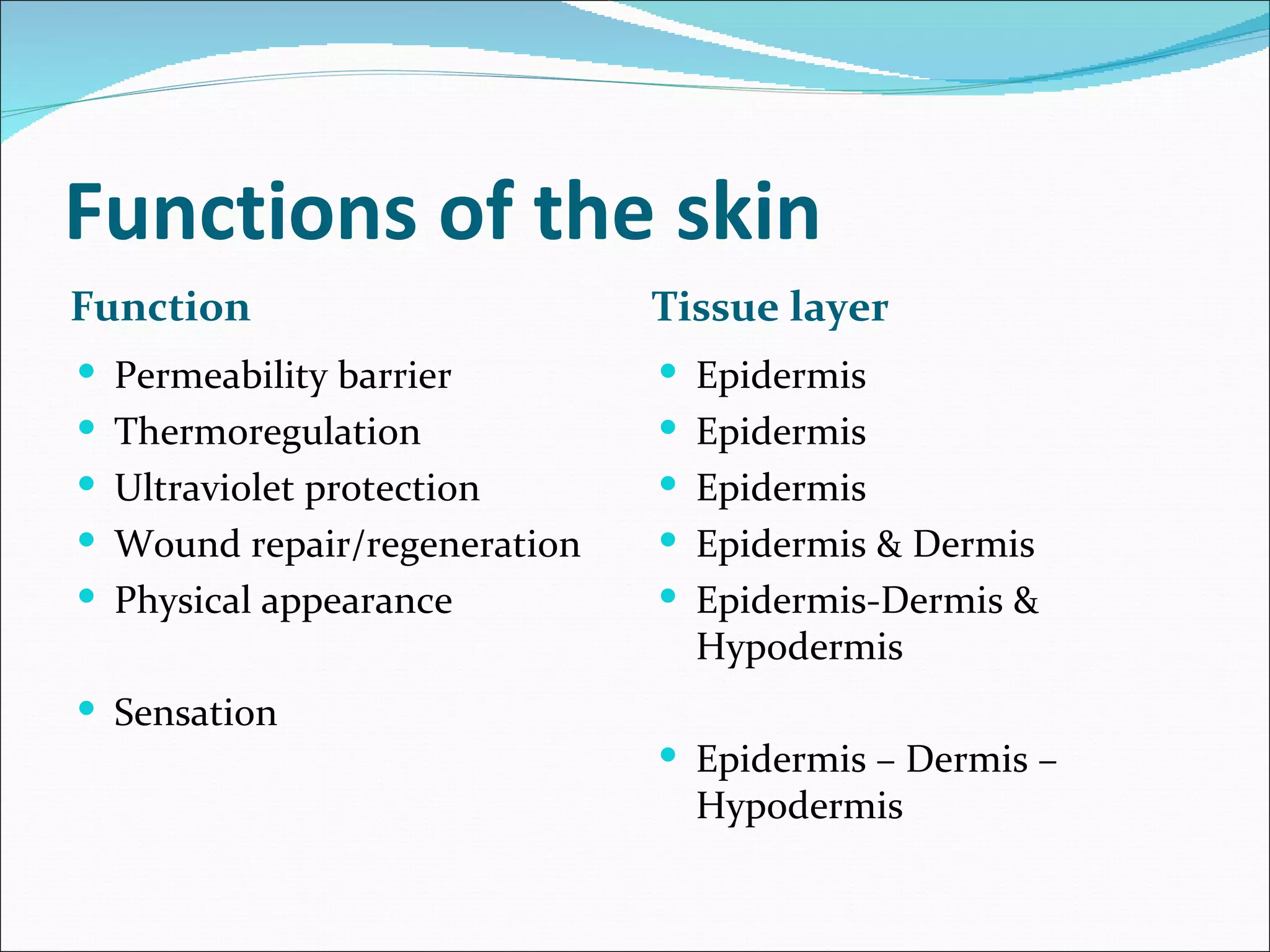 Functions of skin | PPT