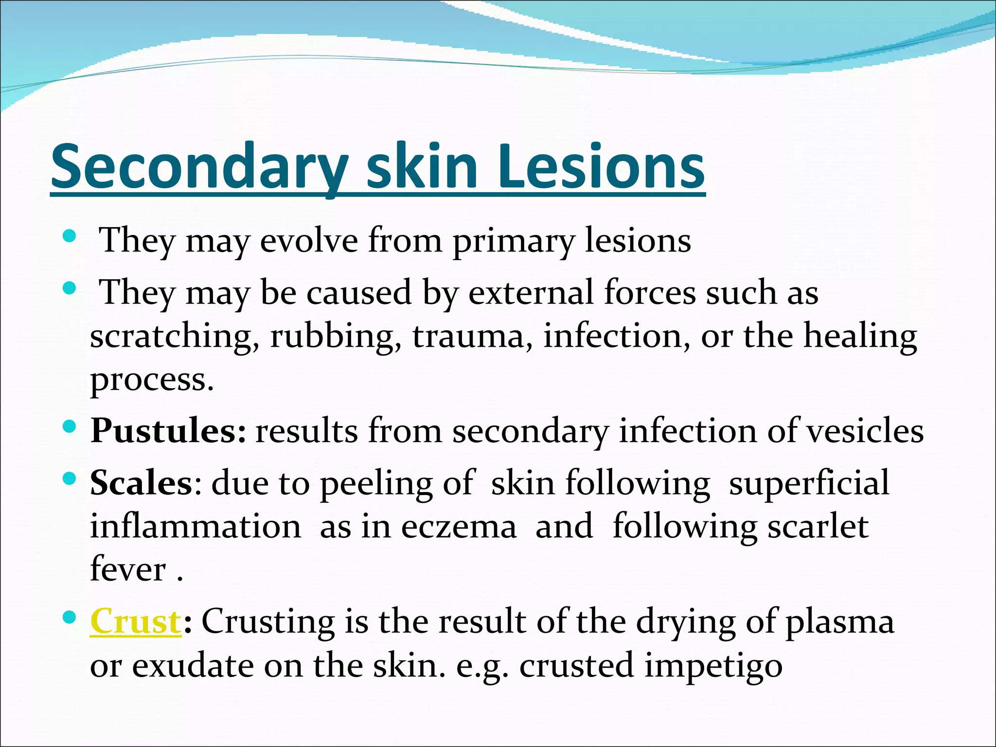 Functions of skin | PPT