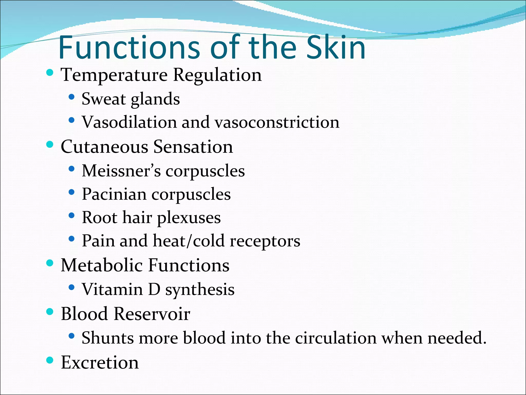 Functions of skin | PPT