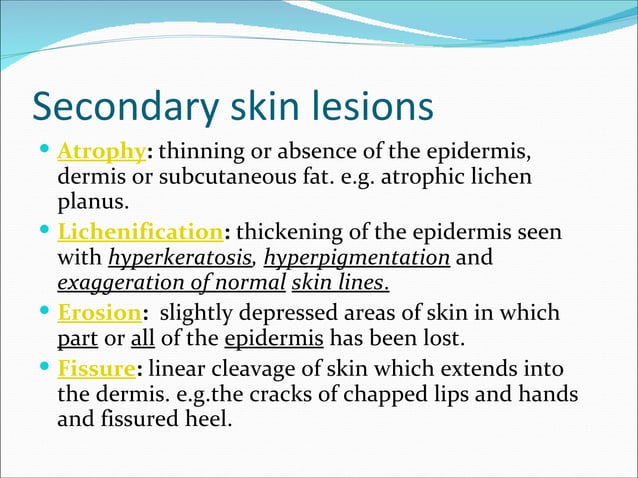 Functions of skin | PPT