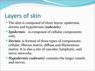 Describe The 3 Functions Oof The Skin on Sale | emergencydentistry.com