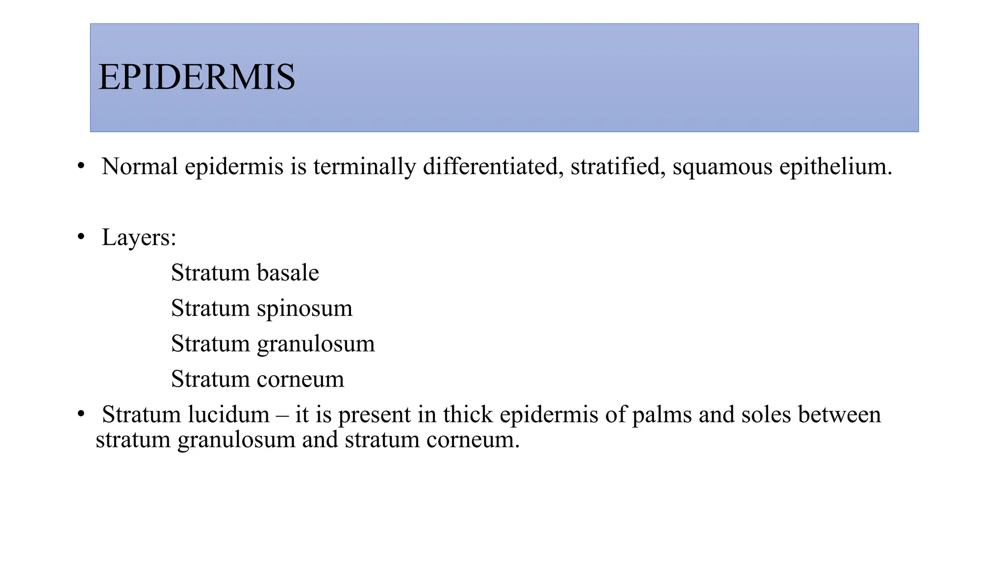 FUNCTIONS OF SKIN,CELL KINETICS AND EPIDERMOPIOESIS.pptx