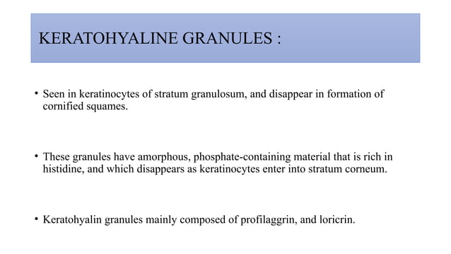 FUNCTIONS OF SKIN,CELL KINETICS AND EPIDERMOPIOESIS.pptx