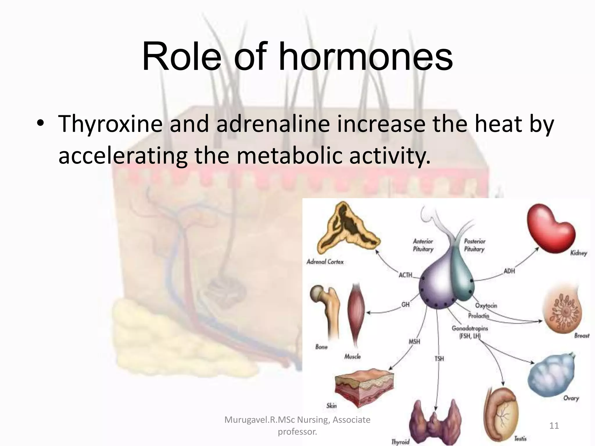 Functions of skin regulation of body temperature | PPTX