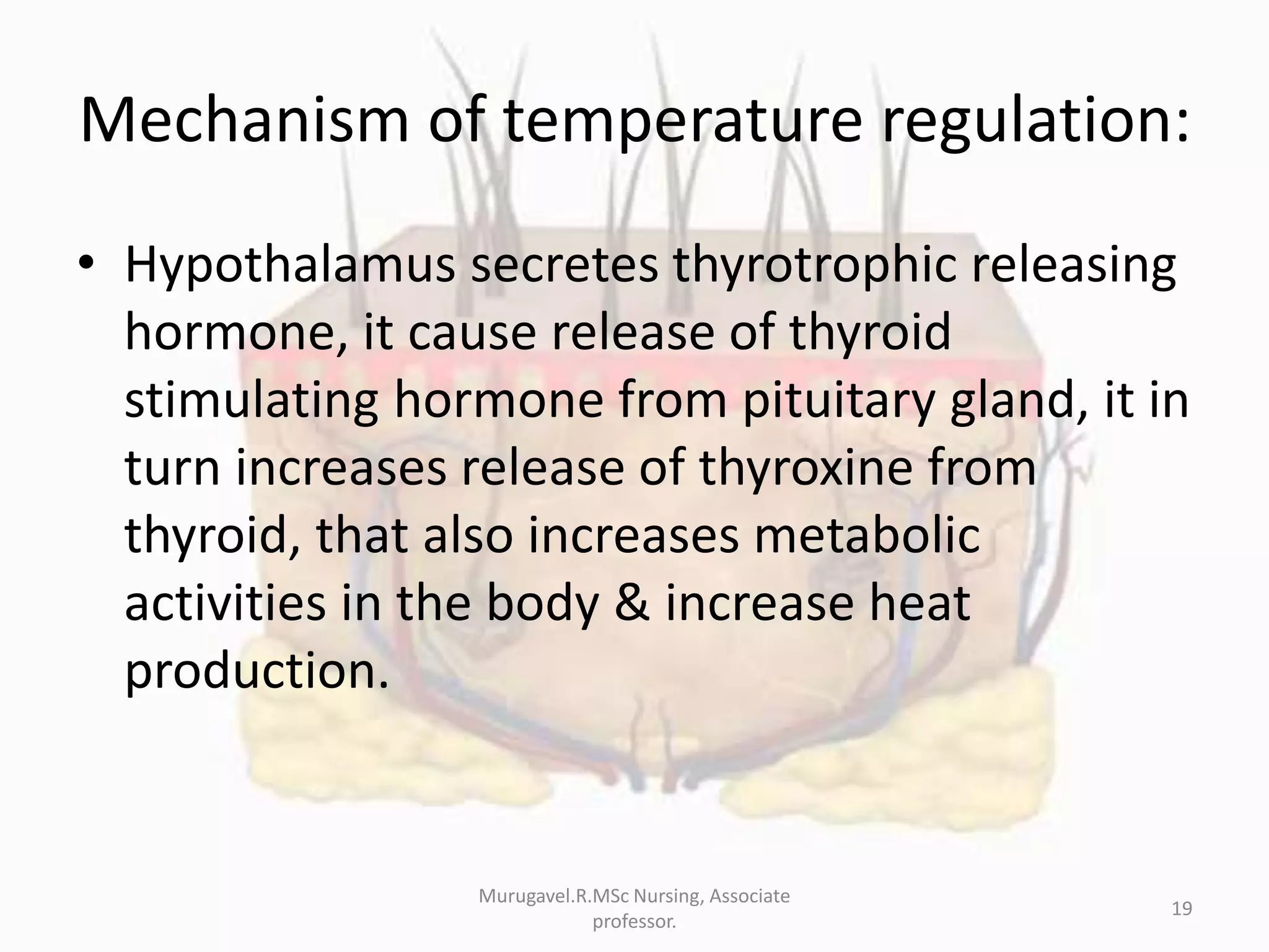 Functions of skin regulation of body temperature | PPTX