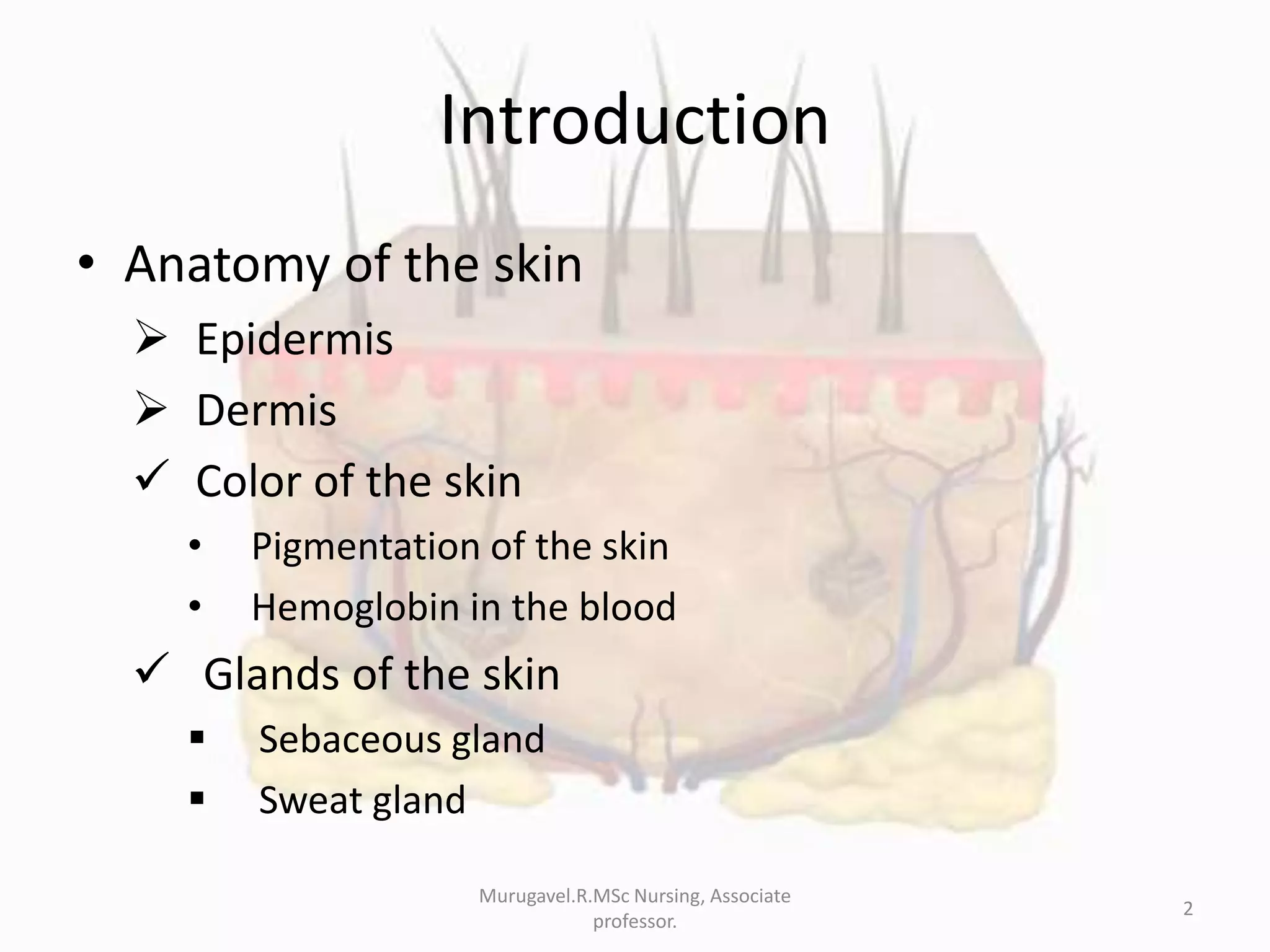 Functions of skin regulation of body temperature | PPTX