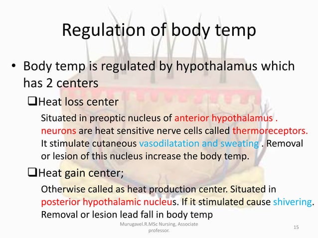 Functions of skin regulation of body temperature | PPTX