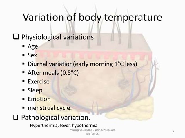 Functions of skin regulation of body temperature | PPTX