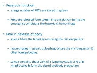 Functions of spleen and lymph nodes | PDF