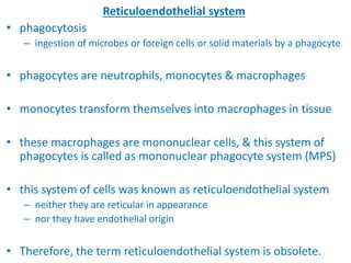 Functions of spleen and lymph nodes | PDF