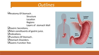Functions of Stomach and GFT.pptx Gastric Function test | PPTX