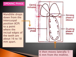 Functions of Stomatognathic System | PPTX