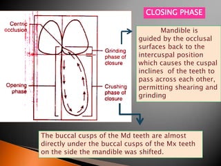 Functions of Stomatognathic System | PPTX