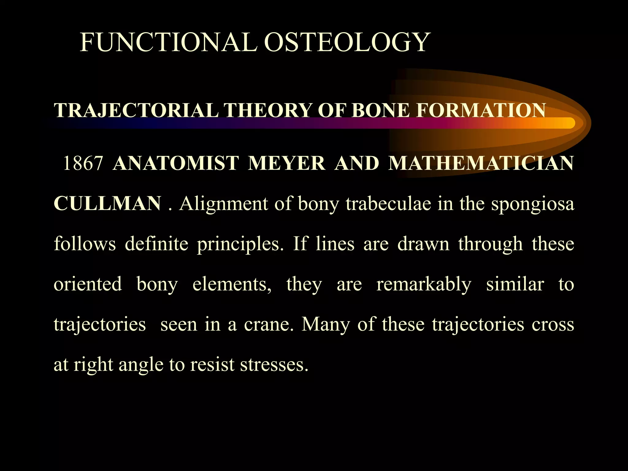 functions of stomatognathic system.ppt