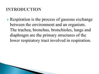 FUNCTIONS OF THE BRONCHIOLES And it's uses PDF.pdf