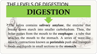 FUNCTIONS OF THE ORGANS DIGESTIVE SYSTEM | PPT