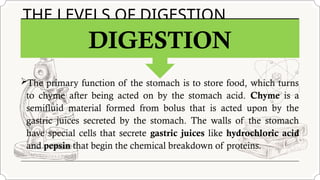 FUNCTIONS OF THE ORGANS DIGESTIVE SYSTEM | PPTX