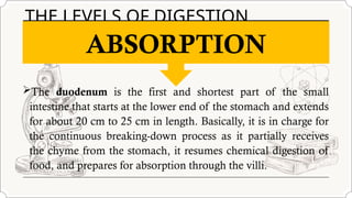 FUNCTIONS OF THE ORGANS DIGESTIVE SYSTEM | PPT
