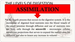 FUNCTIONS OF THE ORGANS DIGESTIVE SYSTEM | PPTX