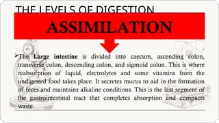 FUNCTIONS OF THE ORGANS DIGESTIVE SYSTEM | PPT