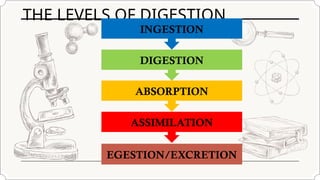 FUNCTIONS OF THE ORGANS DIGESTIVE SYSTEM | PPT
