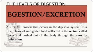 FUNCTIONS OF THE ORGANS DIGESTIVE SYSTEM | PPT