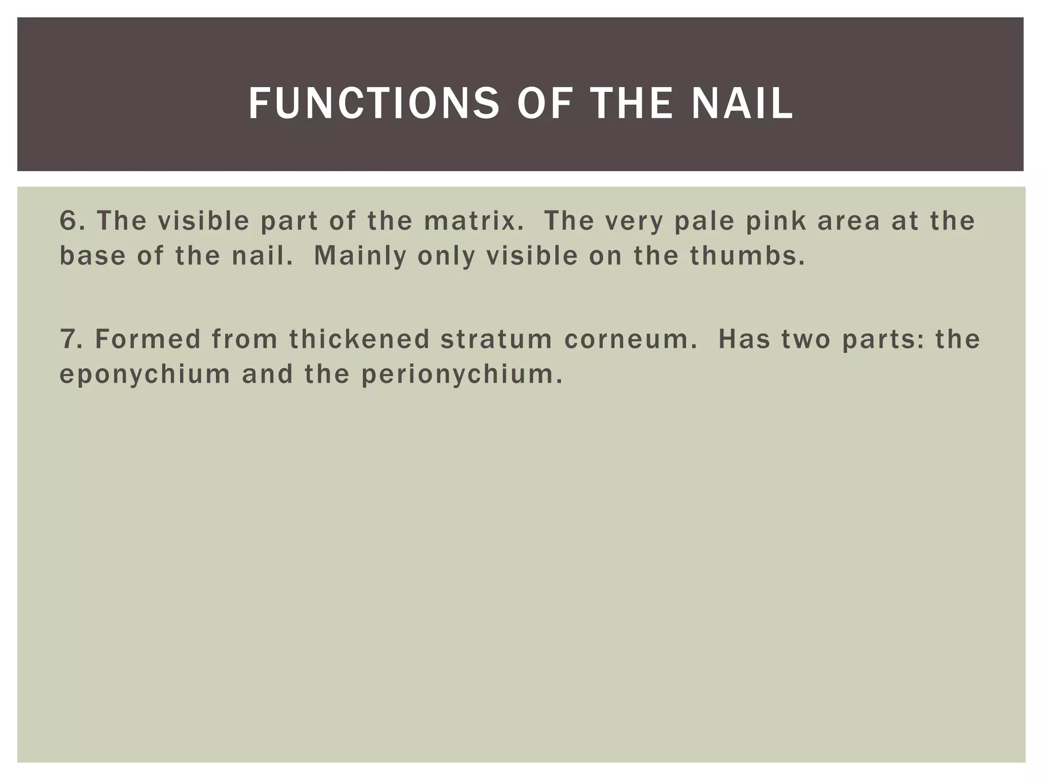 Functions of the nail | PPTX