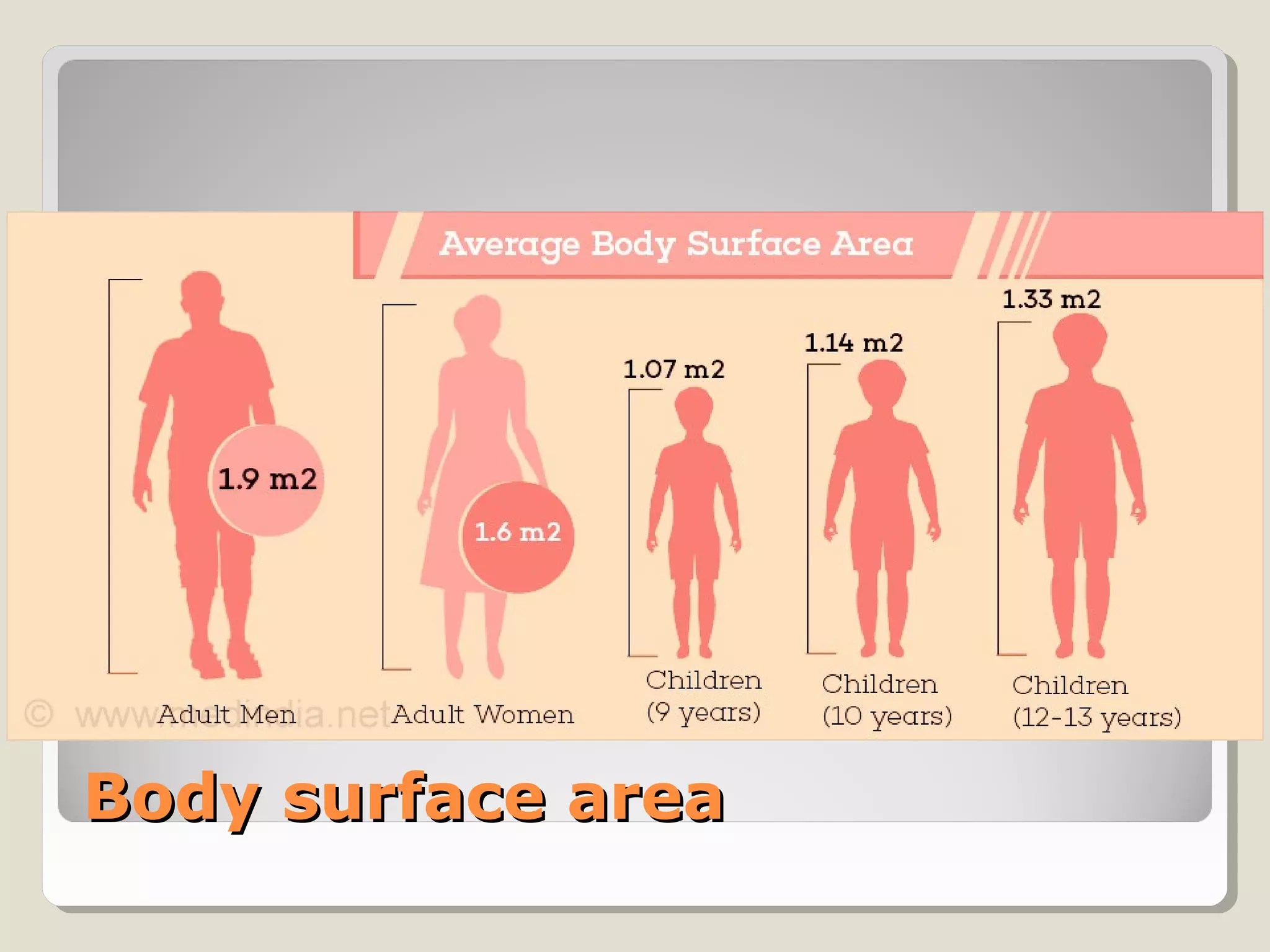 Functions of the skin, hair, glands | PPT
