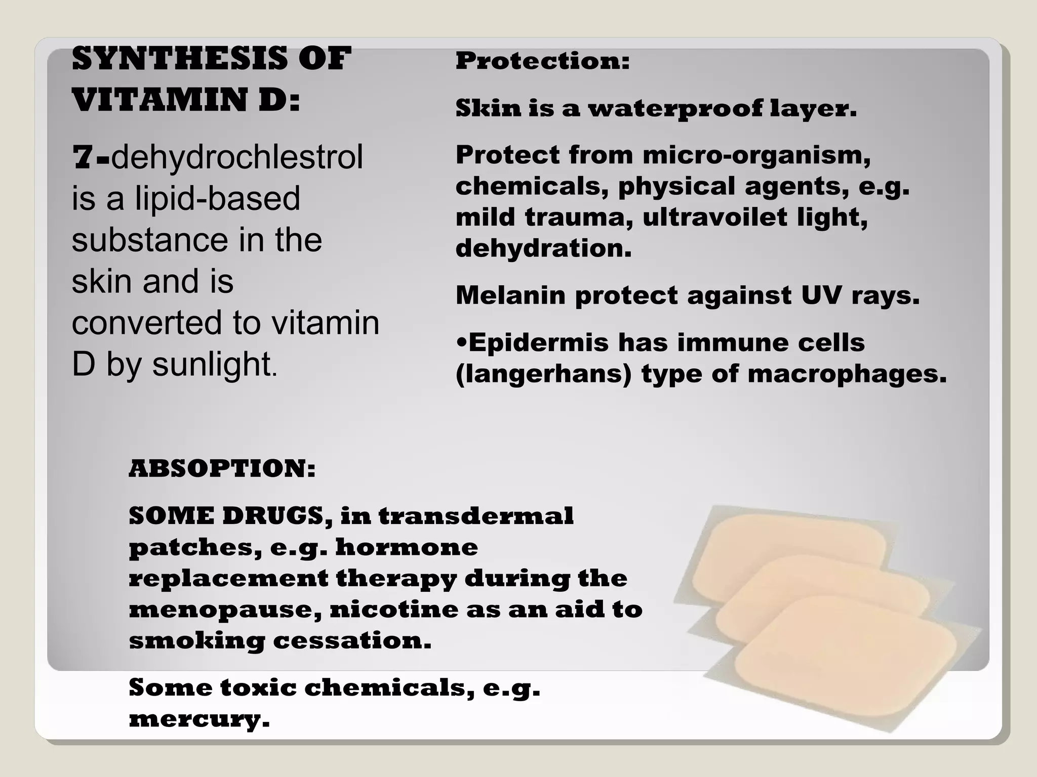 Functions of the skin, hair, glands | PPT