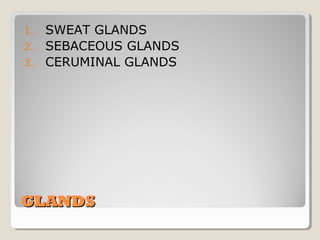 Functions of the skin, hair, glands | PPT