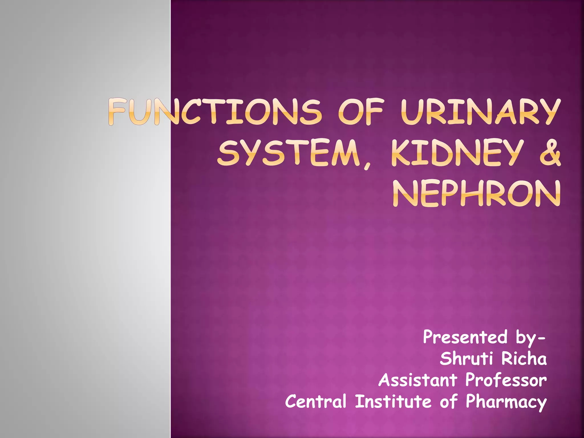 Functions of urinary system, Kidney & Nephron | PPT