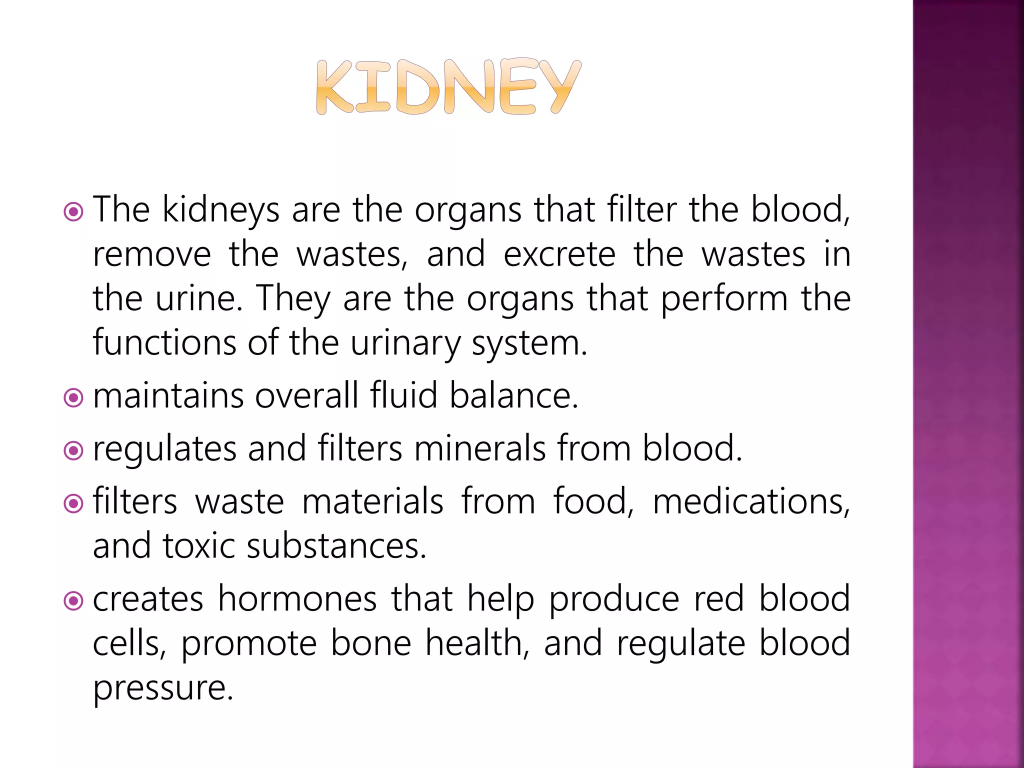 Functions of urinary system, Kidney & Nephron | PPTX