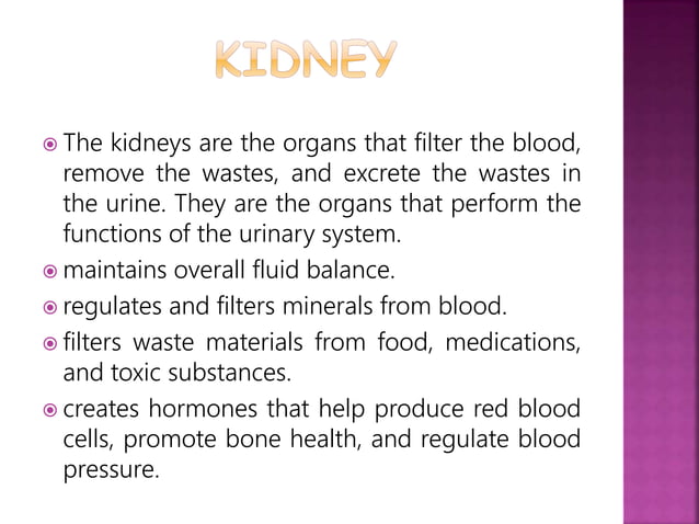 Functions of urinary system, Kidney & Nephron | PPT