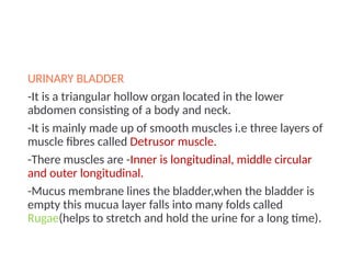 Functions, Regulation of kidney.pptx,renal system | PPT