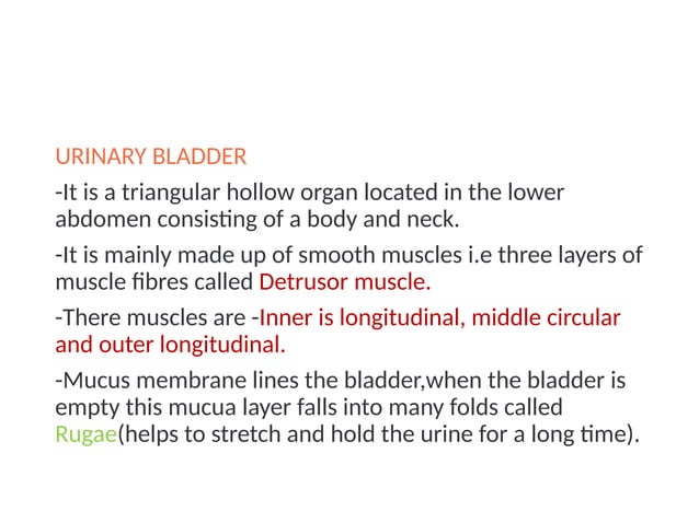 Functions, Regulation of kidney.pptx,renal system | PPT