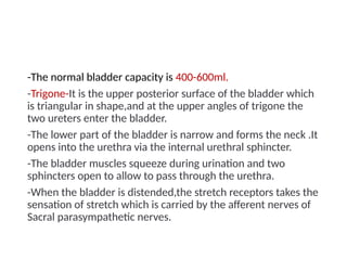 Functions, Regulation of kidney.pptx,renal system | PPT