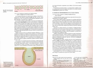 Fundamentos de Biología Celular y Molecular De Robertis | PDF