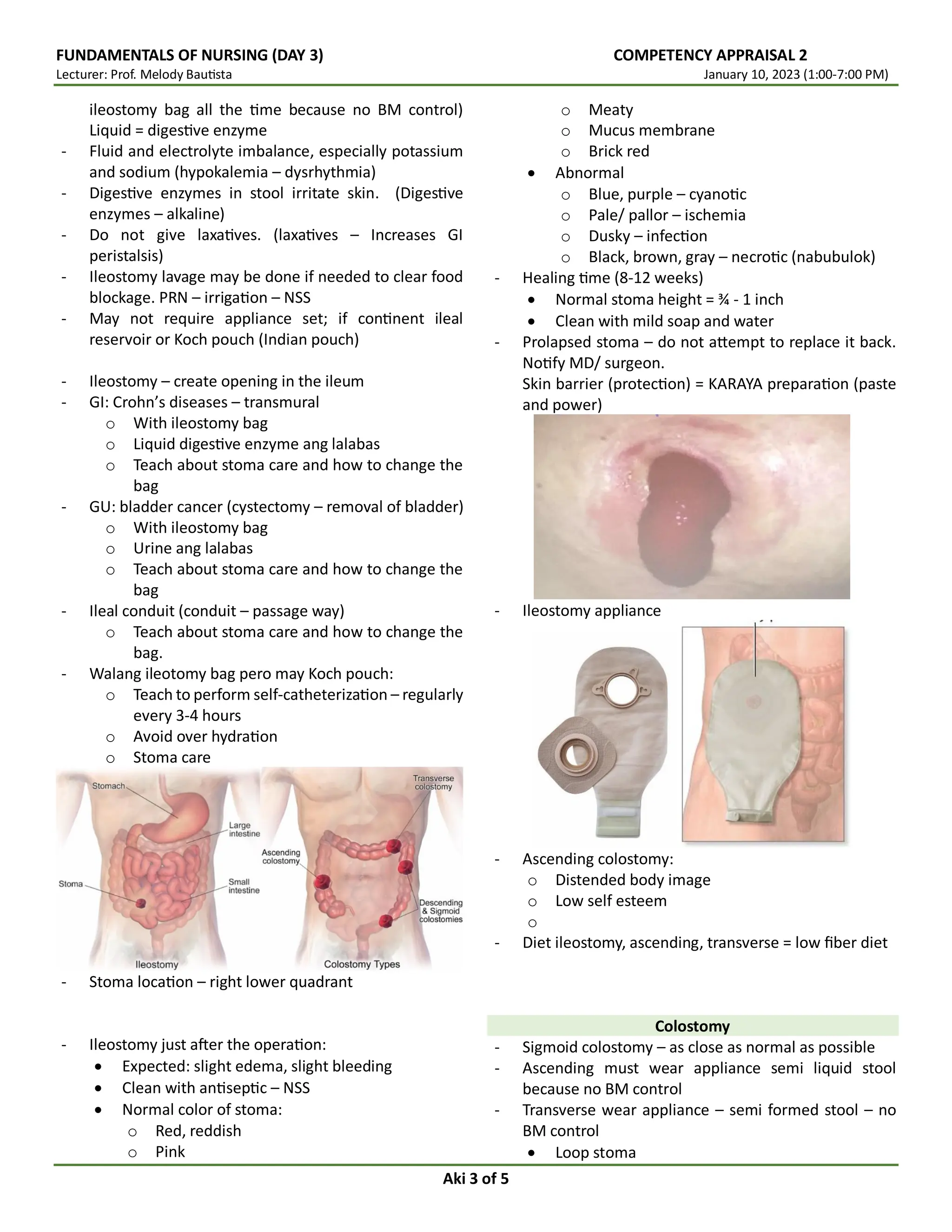 Fundamental by Prof Melody Bautista..pdf