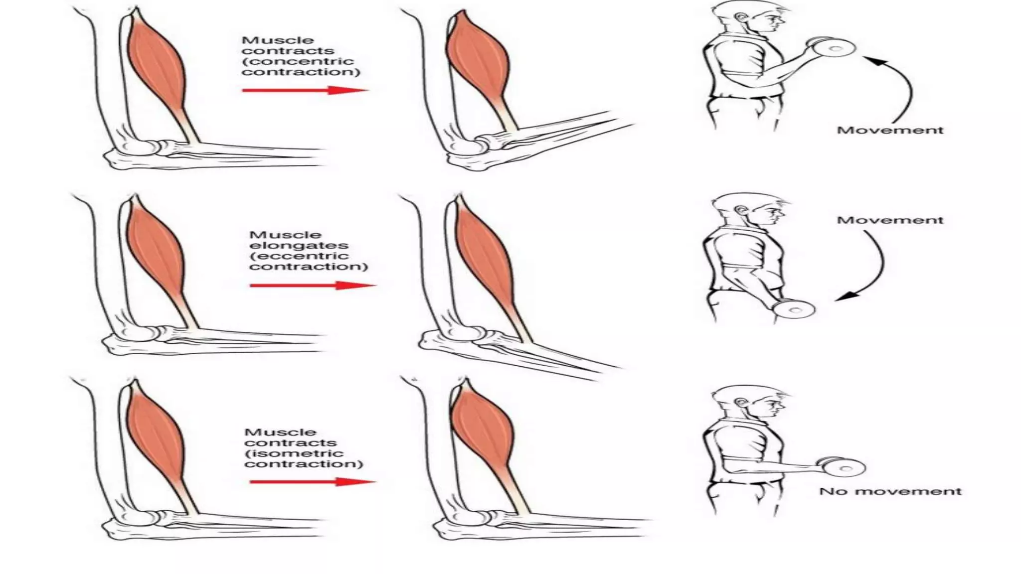 Fundamental-Movement-Patterns.pptx