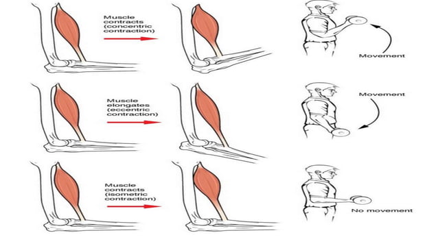 Fundamental-Movement-Patterns.pptx