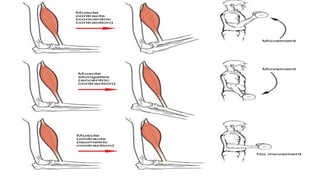 Fundamental-Movement-Patterns.pptx