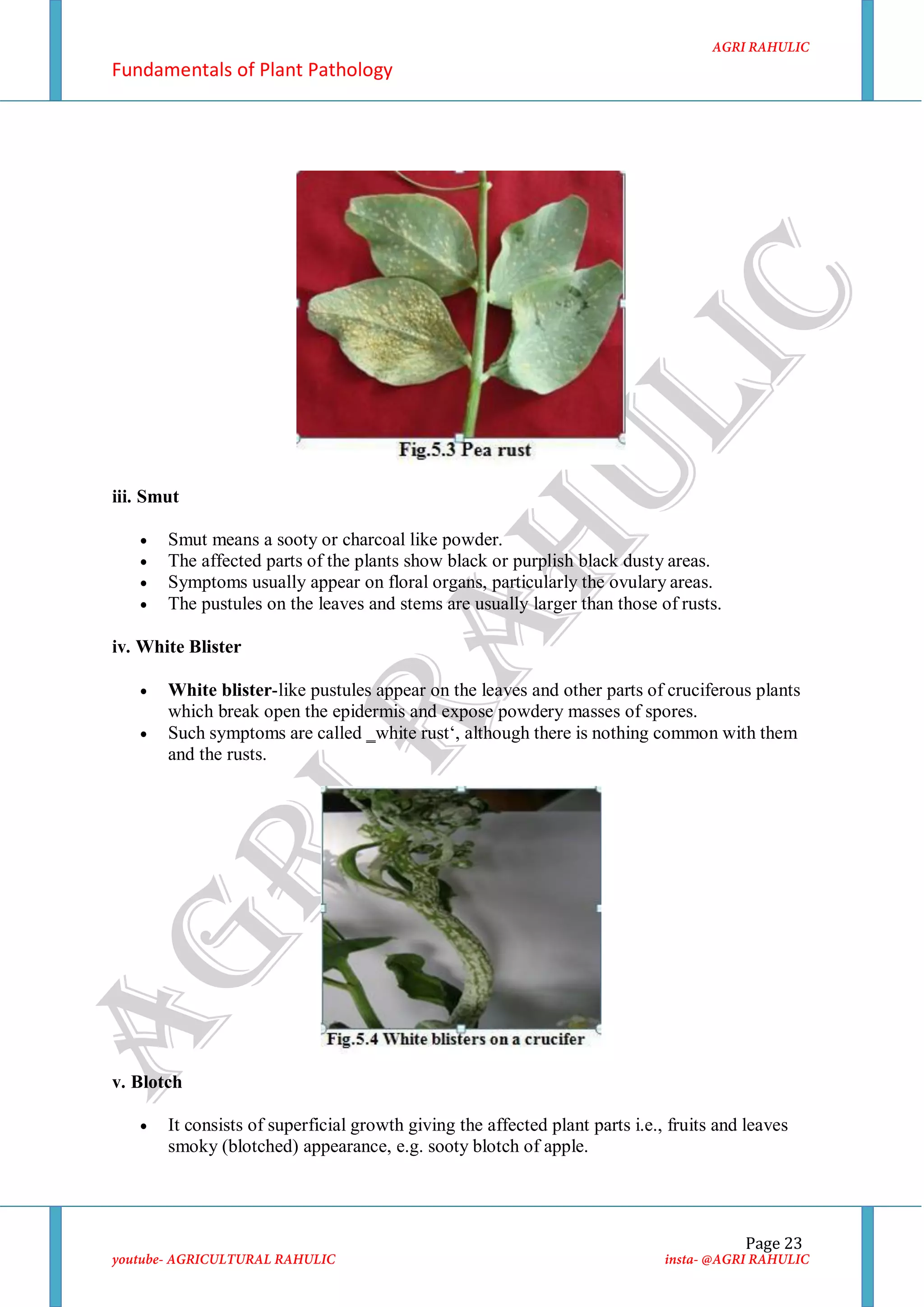 Fundamental of-plant-pathology | PDF