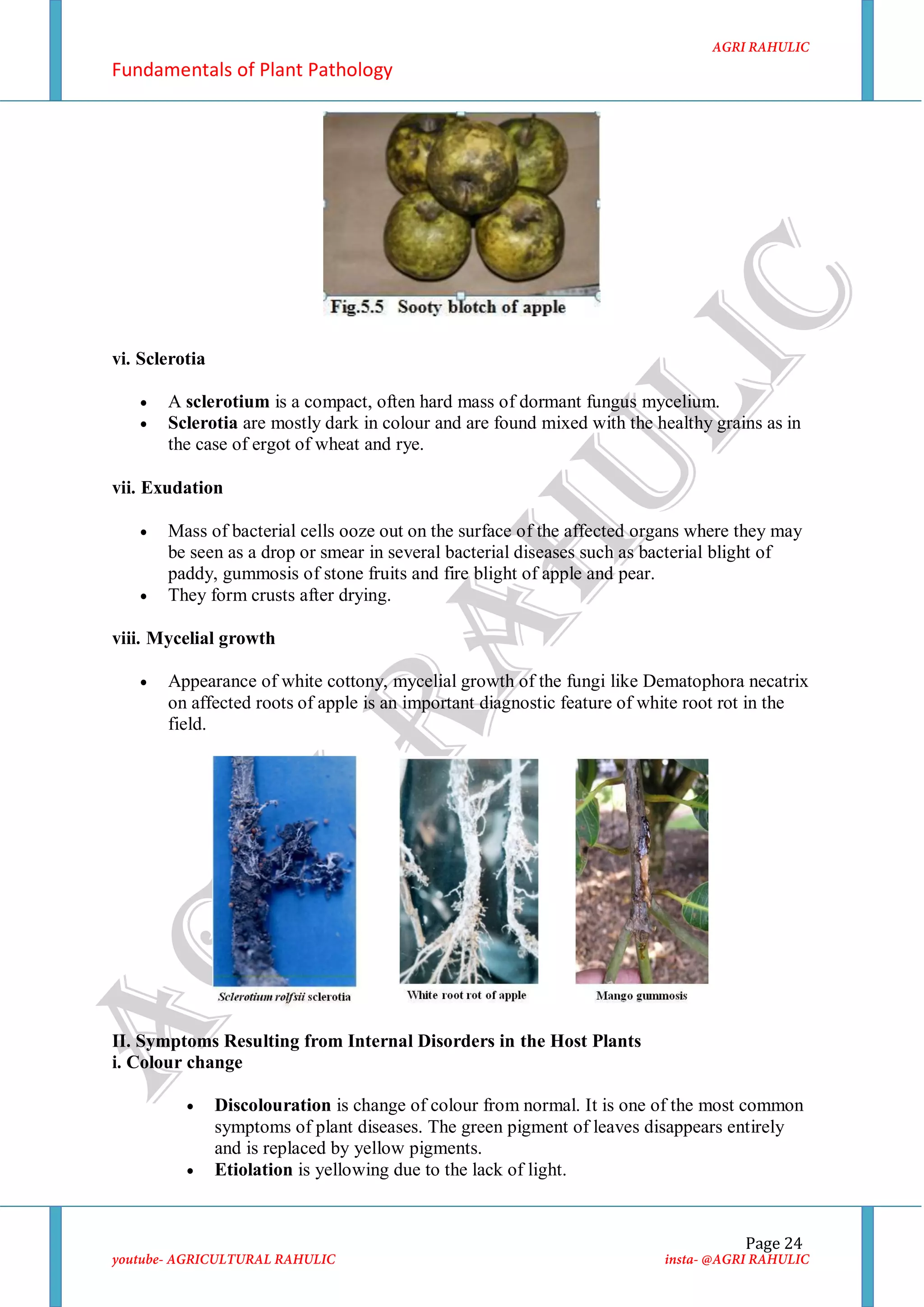 Fundamental of-plant-pathology | PDF