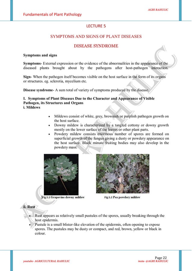 Fundamental of-plant-pathology | PDF
