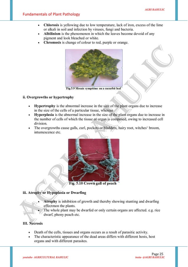 Fundamental of-plant-pathology | PDF