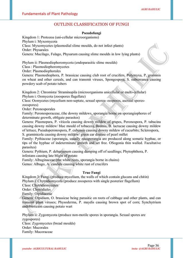 Fundamental of-plant-pathology | PDF