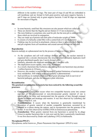 Fundamental of-plant-pathology | PDF