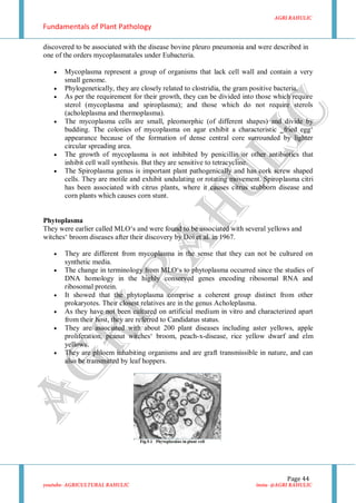 Fundamental of-plant-pathology | PDF