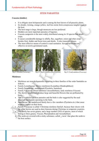 Fundamental of-plant-pathology | PDF