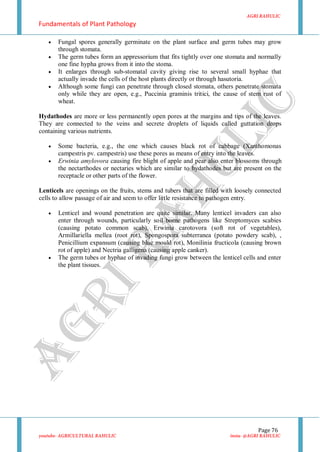 Fundamental of-plant-pathology | PDF